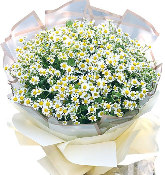 Bó Cúc Tana, Hoa Sinh Nhật Tặng Bạn - Hoa Sài Gòn